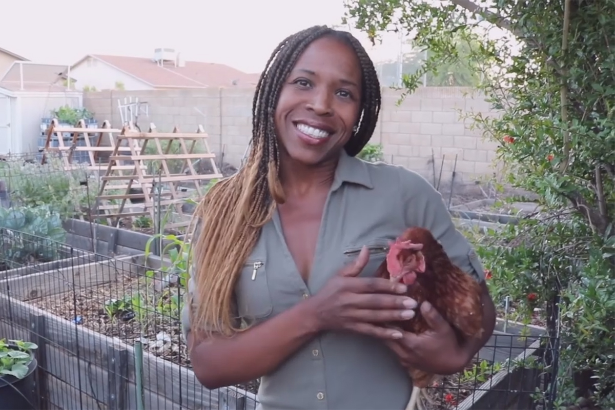 Why and How to Raise Your Flock – Videos – Mother Earth News